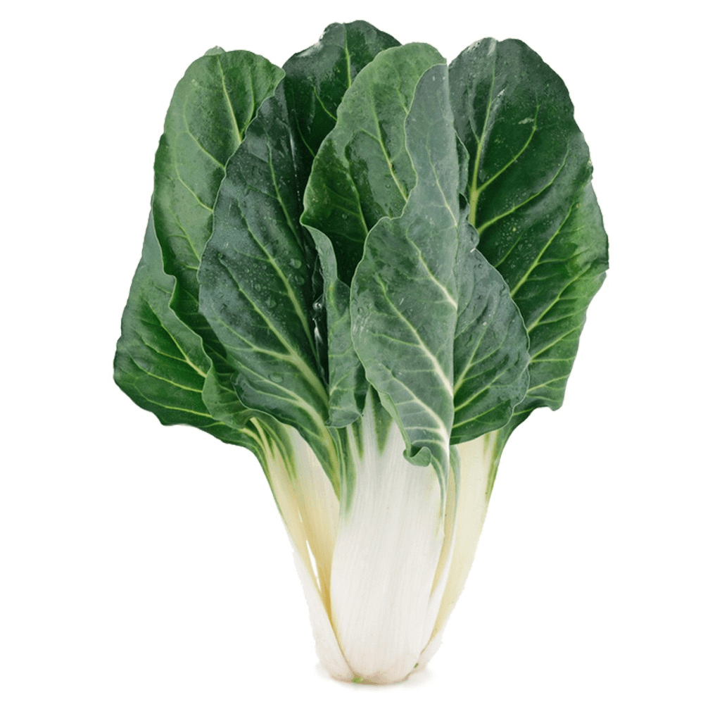 COMBATE 1 EL ESTREÑIMIENTO Y 2 SANA LAS ÚLCERAS CON ACELGA PLANTA ...